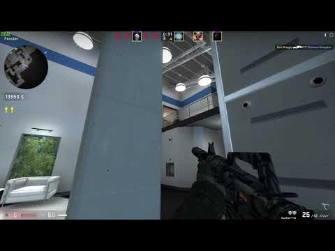 Steam Community :: Video :: Pandas Elite CS GO Funny 2