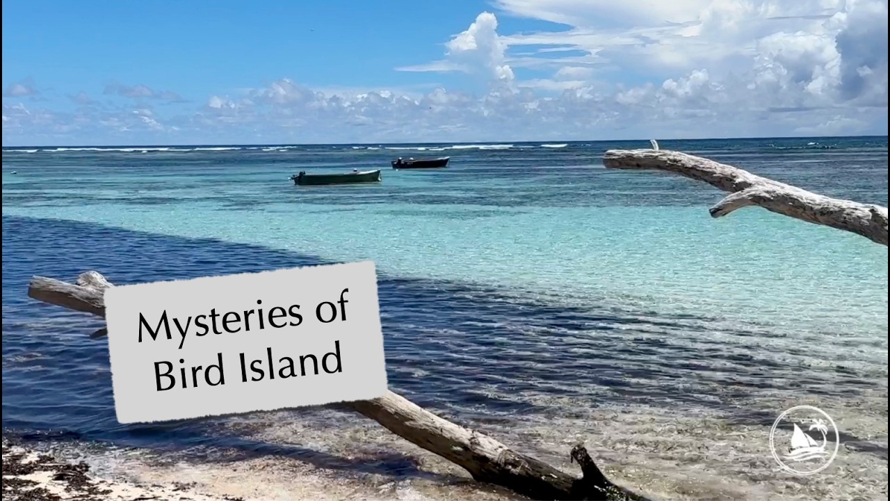 Ep 10: Mysteries of Bird Island
