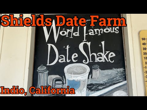 Shields Date Farm, INDIO, CALIFORNIA