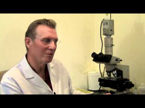 Holistic Dentist Answers: Can Gum Disease be Cured without Surgery?