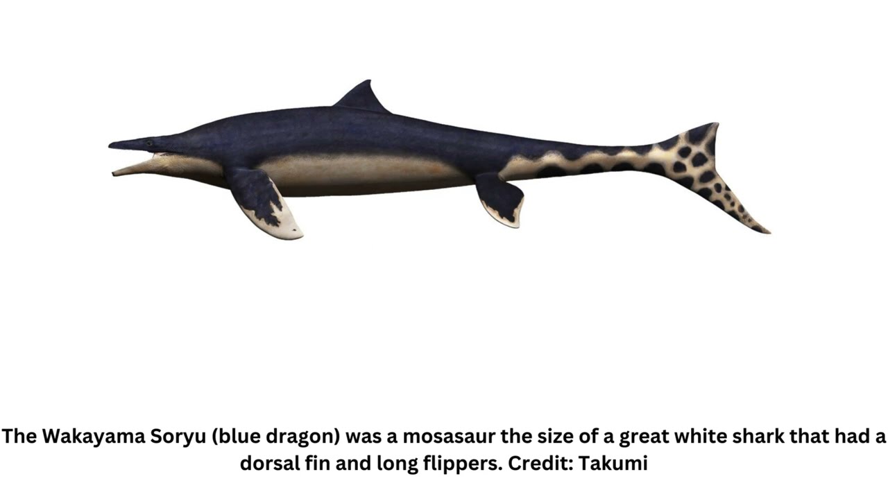 Ancient 'Dragon' Unearthed in Japan Is Unlike Anything We've Ever Seen