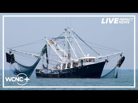 North Carolina House kills proposed inshore shrimp trawling ban