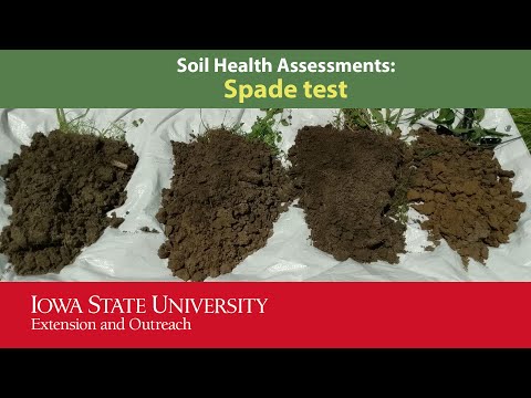 Soil Health Assessment Series: Aggregation - Spade Test