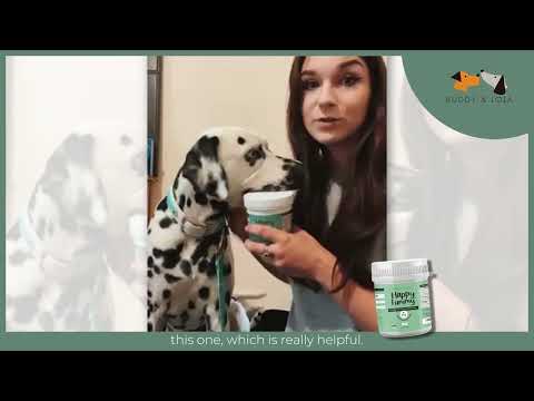 Loki & Lorren ❤️ Happy Tummy | Buddy & Lola
