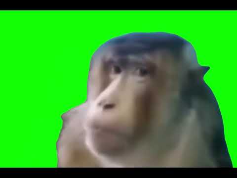 Monkey Side Eye with FNAF 2 ambience meme (Green Screen)