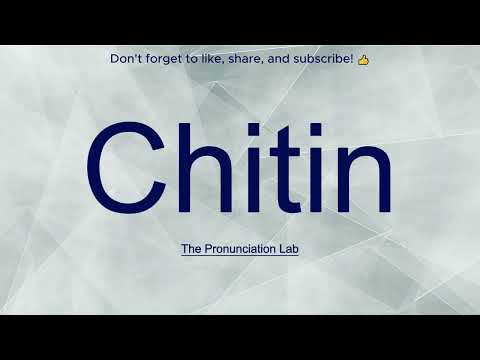 Chitin Pronunciation: How to Pronounce Chitinโ How to Say Chitin?