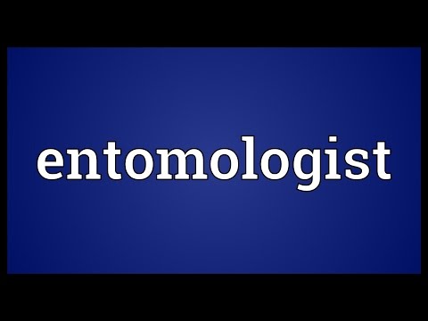 Entomologist Meaning