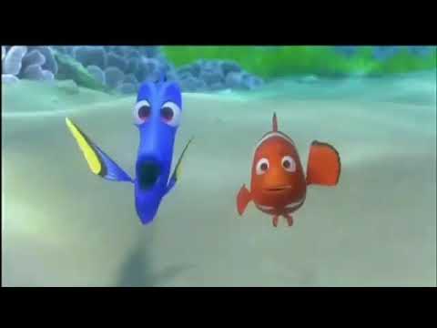 Toons Adventures of Finding Nemo - Back on the Reef/Tank Escape - Wattpad