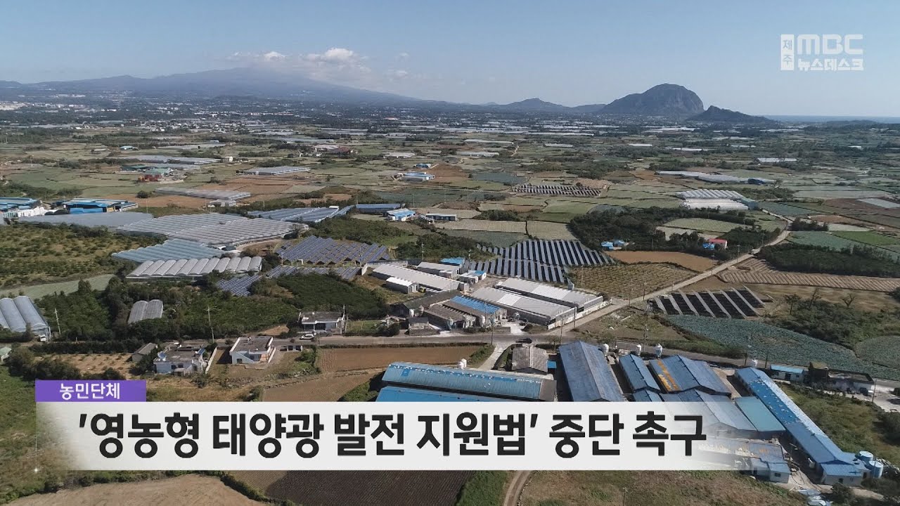 농민단체 '영농형 태양광 발전 지원법' 중단 촉구