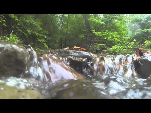 US Forest Service protects water sources