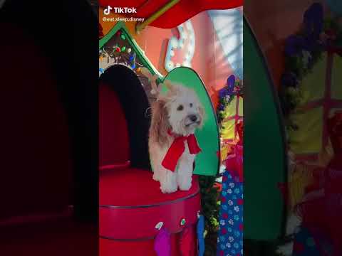 Max the dog was barking from the Grinch who stoles Christmas