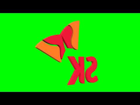 SK Holdings logo chroma