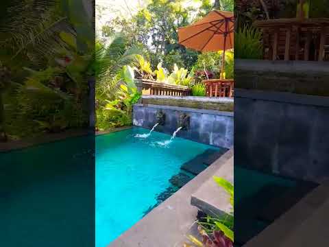 Private Pool Villa in Ubud Bali❤️ Bidadari villas #bali #ubud