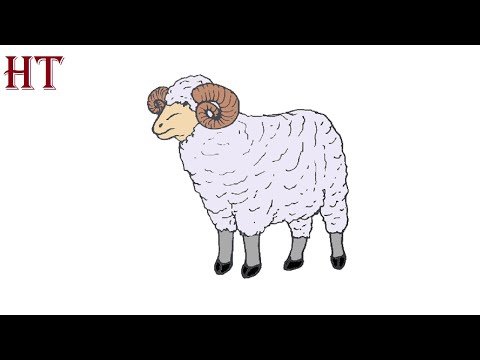 How To Draw A Ram Step by Step – I'm Youtuber – Follow my videos to ...