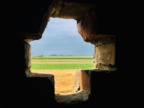 Bach nel Delta del Po (piccola peregrinatio mistica)