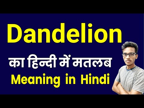 Dandelion meaning in hindi | dandelion ka matlab kya hota hai | dandelion in hindi | daily use words