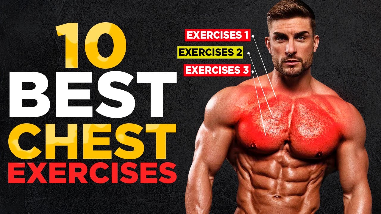 TOP 10 CHEST EXERCISES  | HOW TO BUILD A BIG CHEST