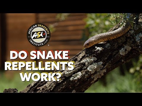 Do Snake Repellents Work?