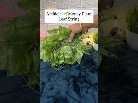 Unboxing Artifical 🌱Money Plant Leaf String #amazonfinds #unboxing #homedecor #shorts
