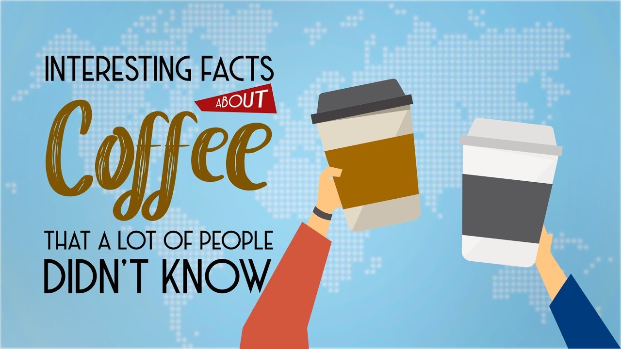 Facts About COFFEE That A Lot of People Didn't Know - Infographic Explainer Video