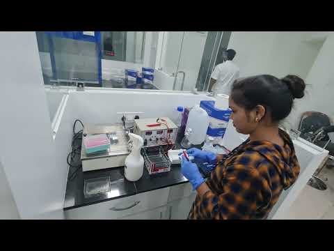 Live: Tour of DNA/RNA PCR lab, The Ideal Molecular