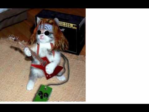 The Dan Band - Total Eclipse of The Heart