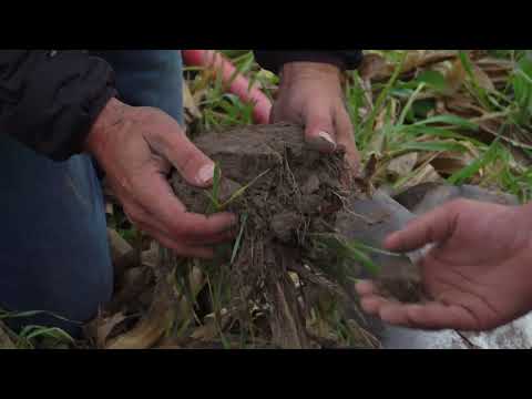 ASA 2025 Conservation Award Winner: Aaron Thompson, Delaware (Northeast Region)
