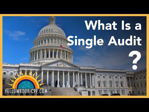 The Sample - What Is a Single Audit?