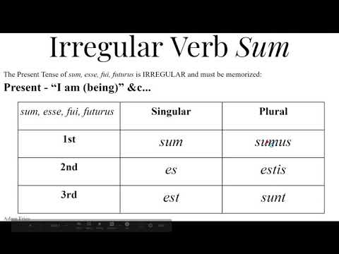 Conjugating sum, esse, fui, futurus (Indicative)