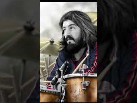 The Untold Story: Revealing the Truth Behind John Bonham's Tragic End in 1980 #shorts #ledzeppelin