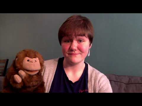Types of Puppets