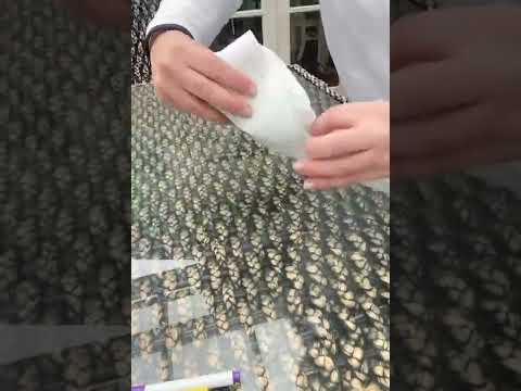Reusable Silicone Activity Placemat