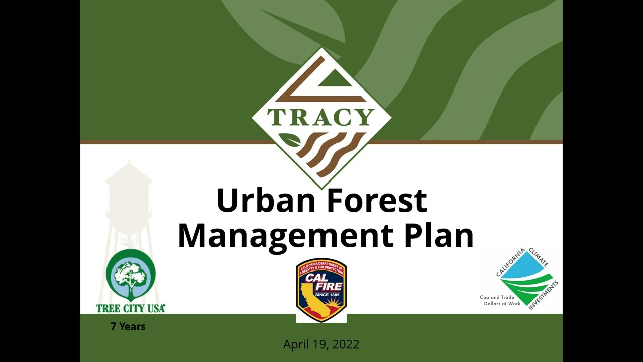 Urban Forest Management Plan Presentation