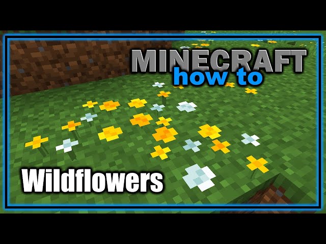 4 things you should know about wildflowers in Minecraft