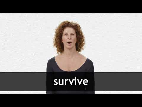SURVIVE - Learn the Meaning, Synonyms & Translations | Collins English ...