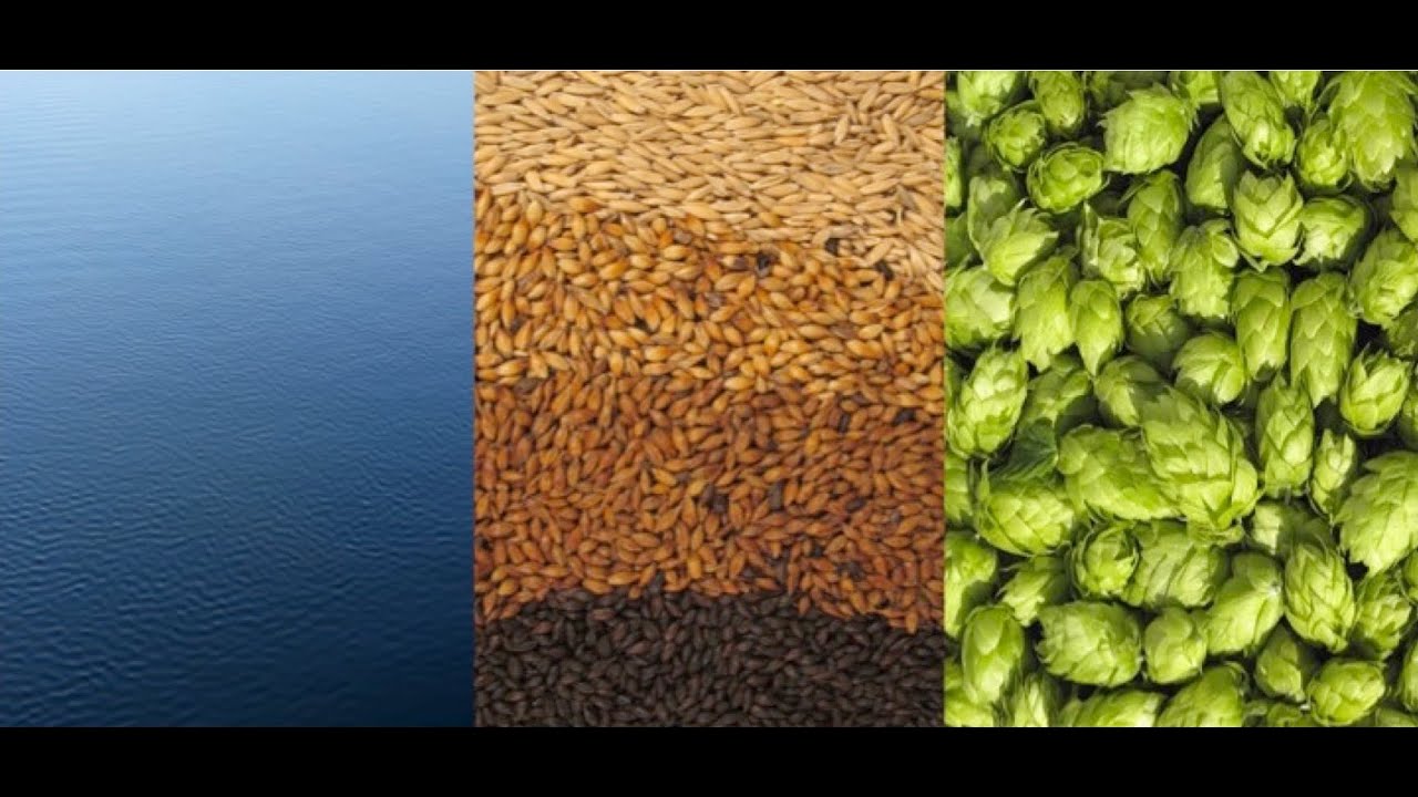 Brewcraft & Homebrewing - Dr. Scott Bailey