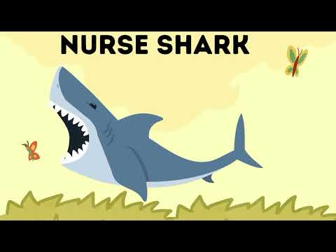 Animal Starting with "N" | Animal Vocabulary | video for kids