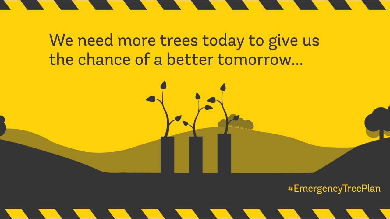 Emergency Tree Plan | Woodland Trust