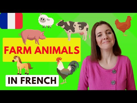 How to tell farm animals in French _ Farm animals in French vocabulary