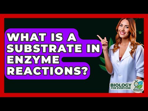 What Is A Substrate In Enzyme Reactions? - Biology For Everyone