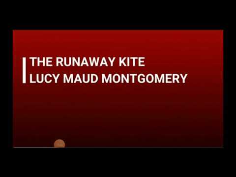 The Runway Kite prose bengali meaning ।। Class 10 English ।।
