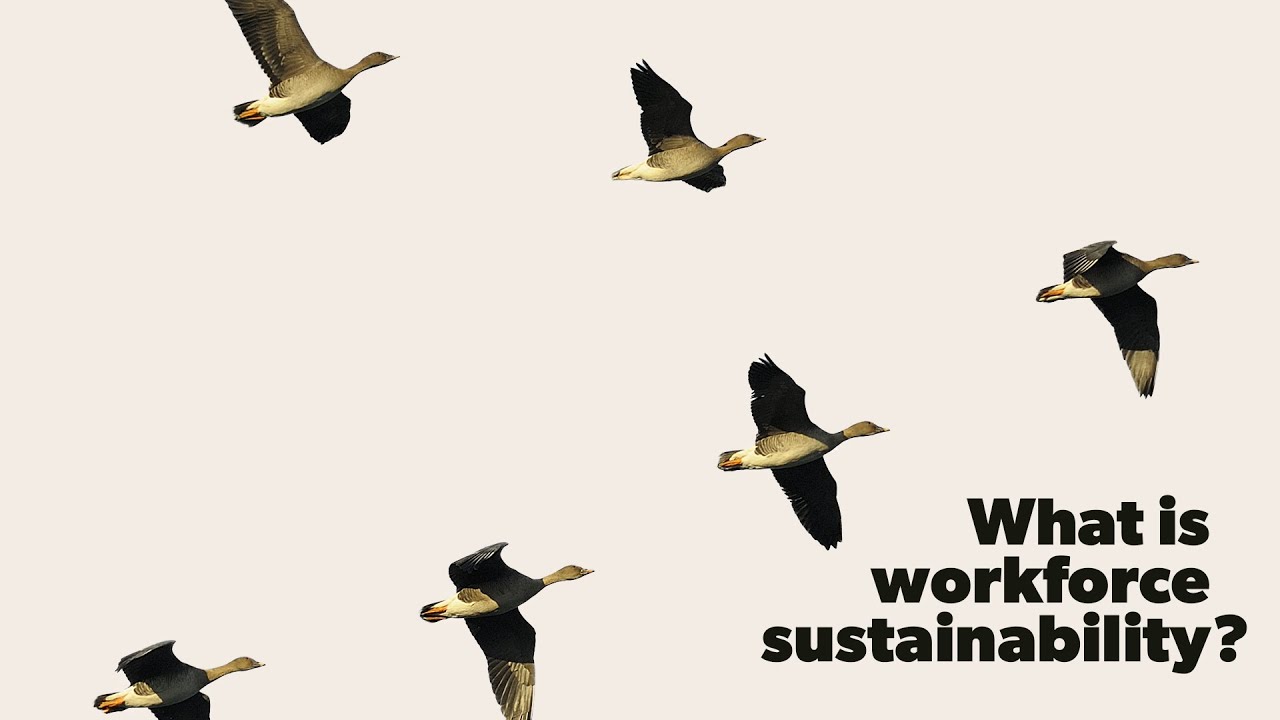 What is workforce sustainability?
