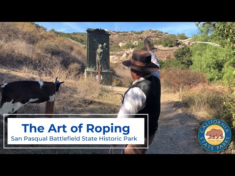 The Art of Roping