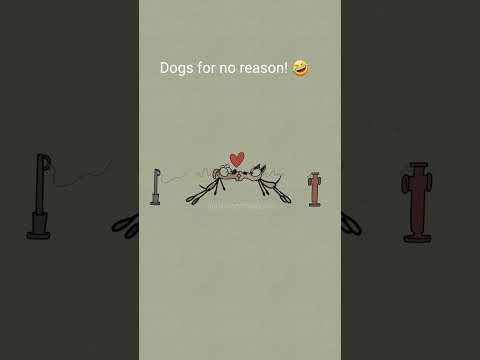 Dogs for no reason! 🤣 (4k memes) #shorts