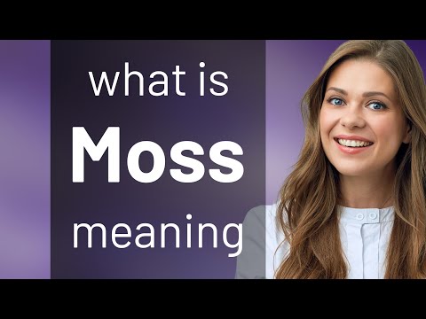 Moss • what is MOSS meaning