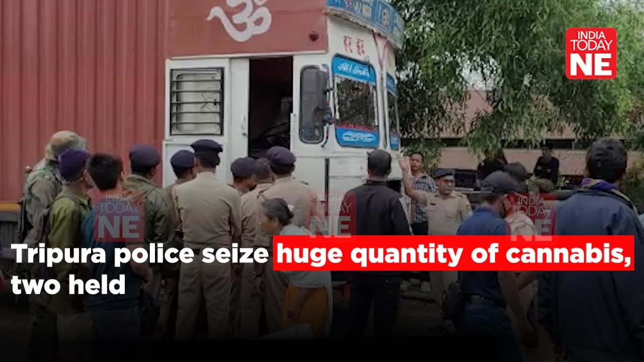 Tripura police seize huge quantity of cannabis, two held