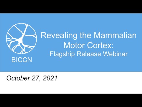 Revealing the Mammalian Motor Cortex: BICCN Flagship Release