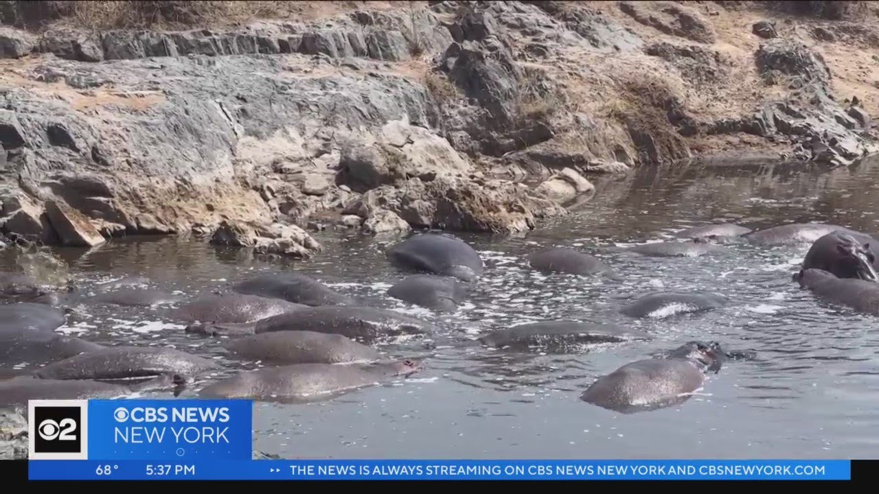 How global water conservation efforts can impact us all