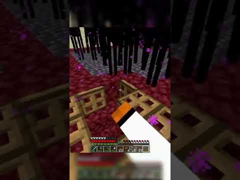 Enderman Farm montage! #minecraft